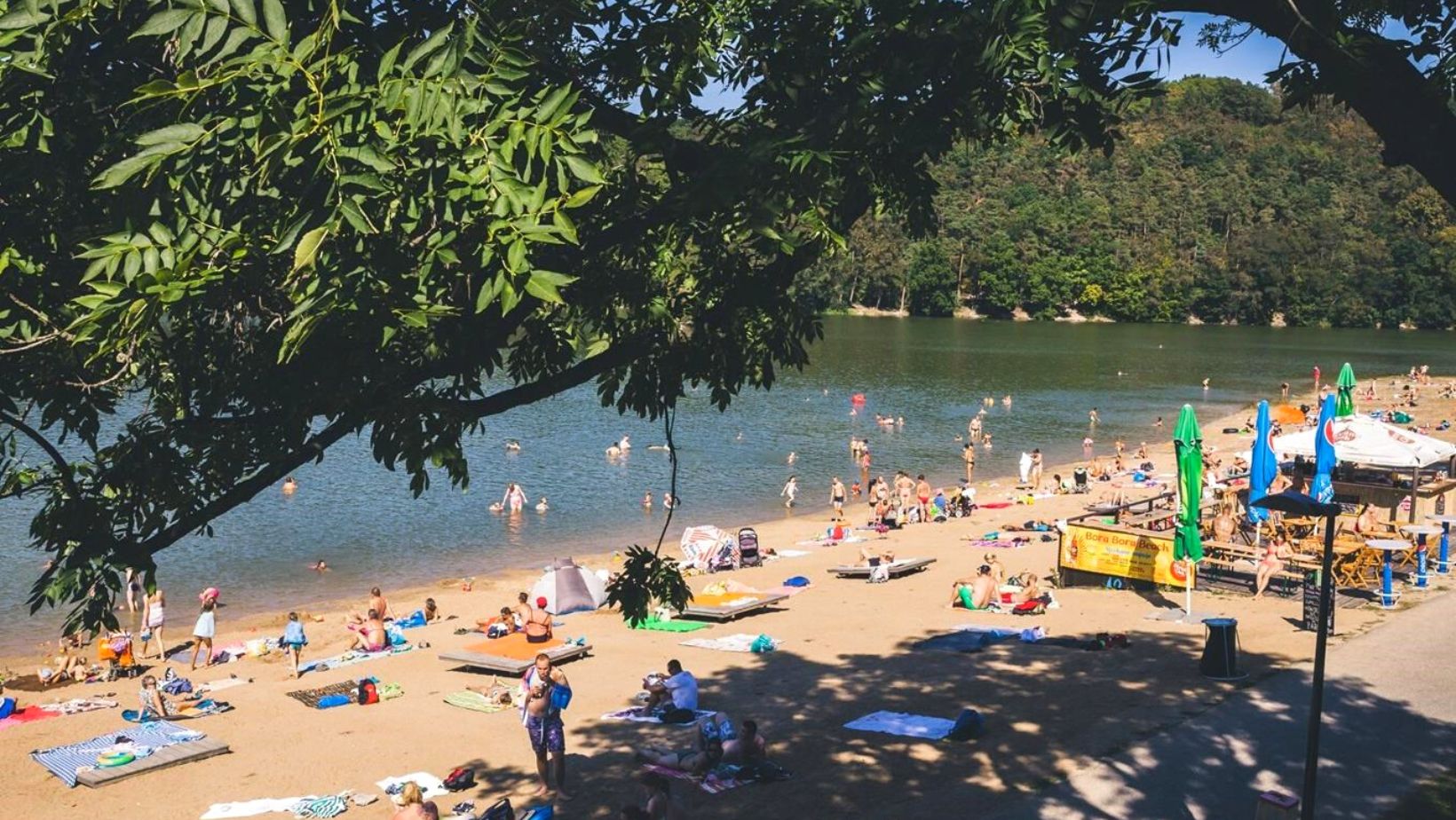 Swimming Season Begins in Prague: Which Natural Pools Are Safe?
